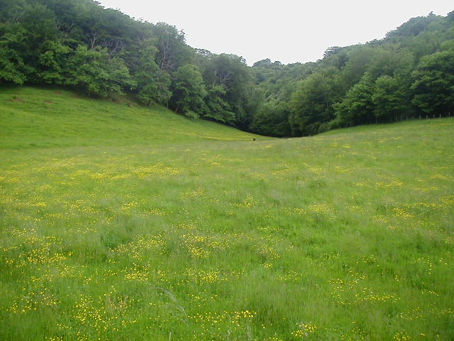 The road kinked up as I got to the top of the valley. The view was ...